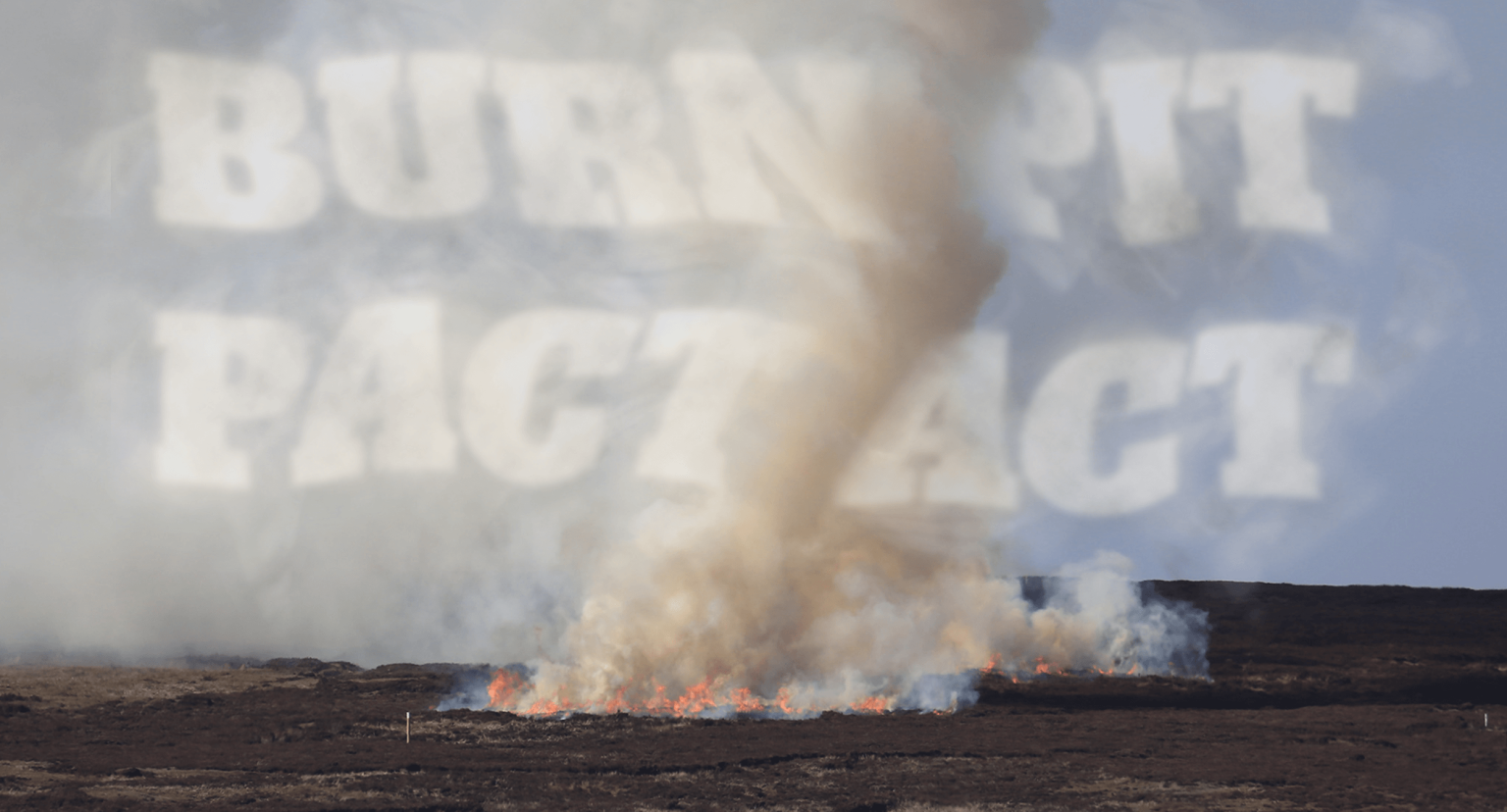 The Burn Pit / The Pact Act - Presumptive Conditions List